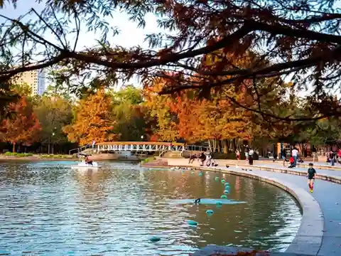Top Fall Festivals in Greater Houston to Attend this Season | houstonorg